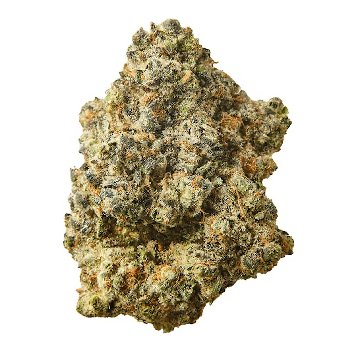 Alien Fritter - napabuds.com