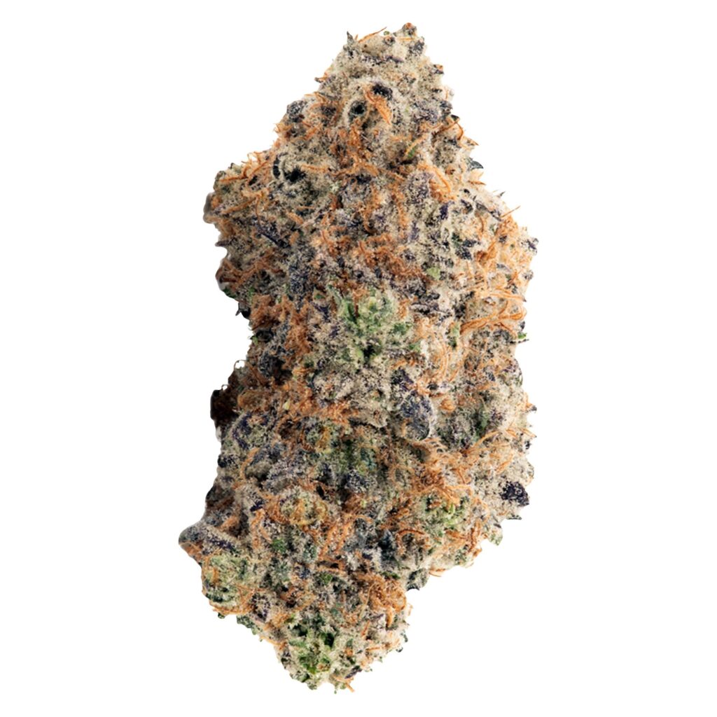 Alien Mintz - napabuds.com